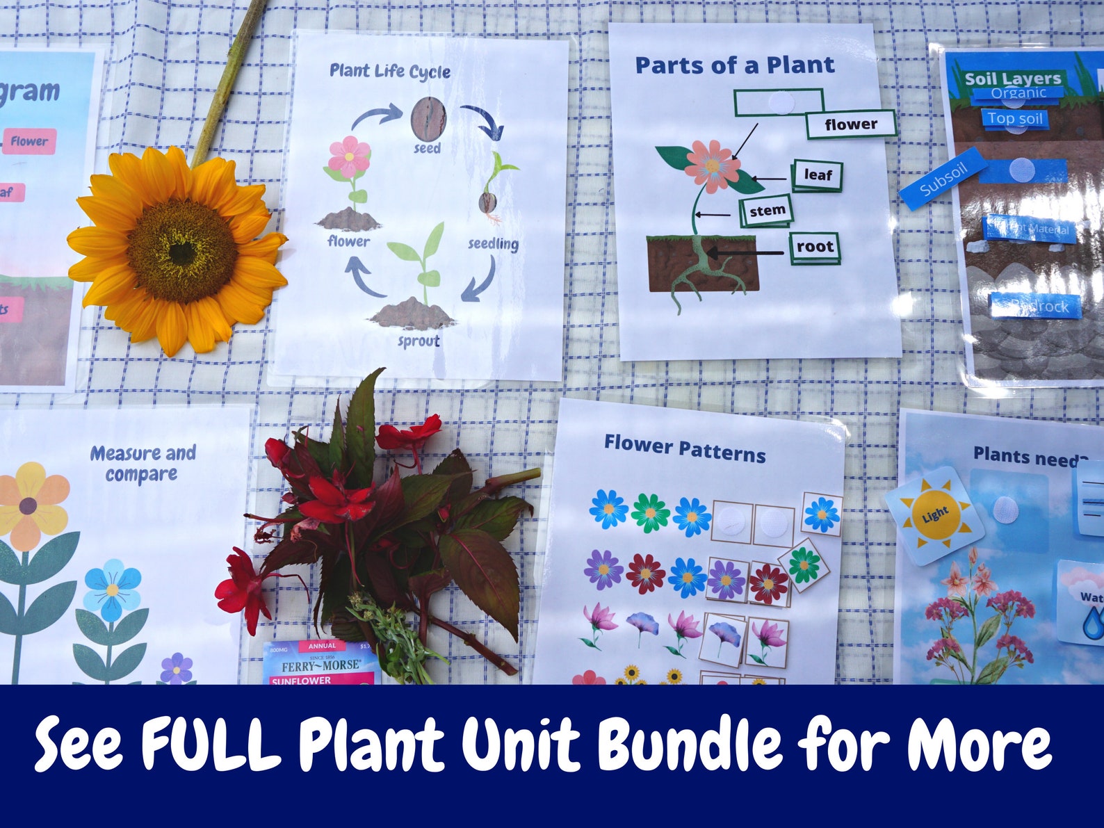 Build A Tree Printable Activity for Pre-k Science Busy Book | Garden ...