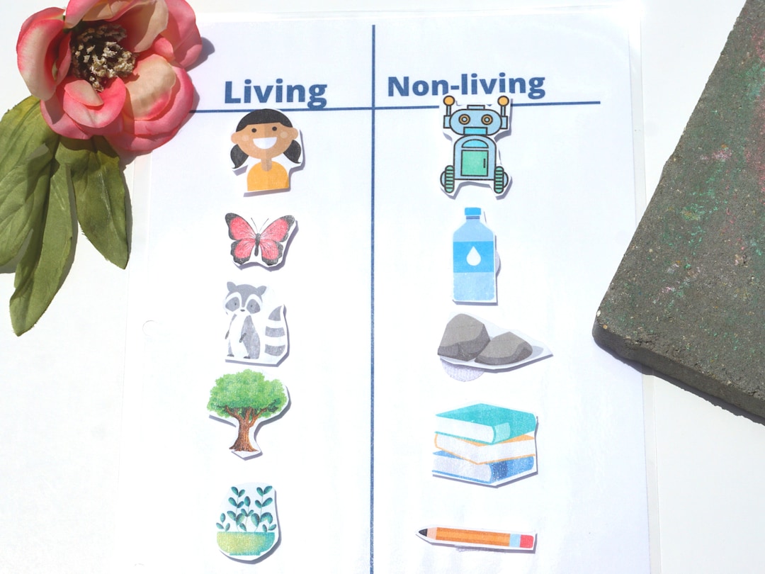 Living Vs Non-living Things Printable for Pre-k Activity Binder ...