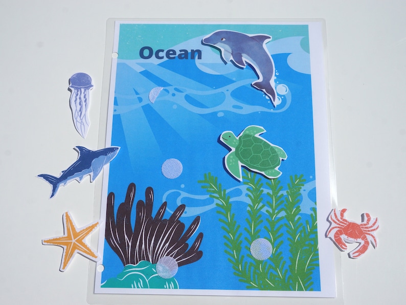 Ocean Biome/habitat Printable Preschool Activity for Busy Book | PRE-K ...