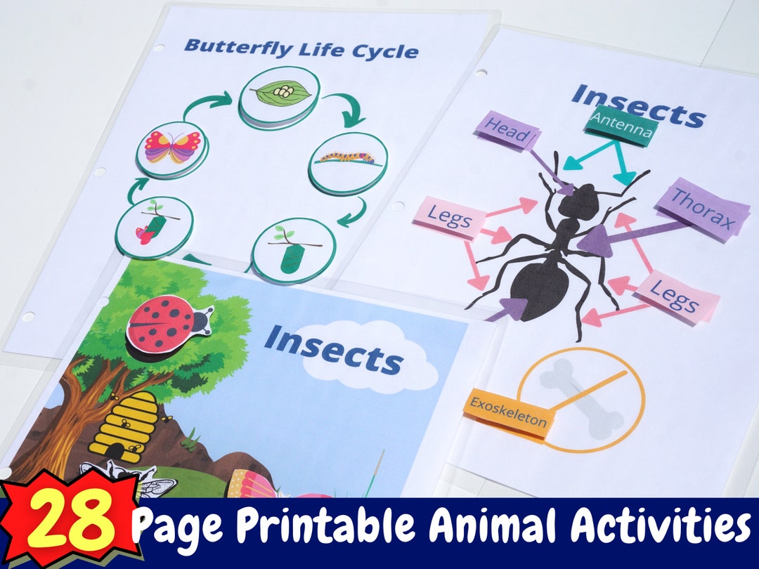 Pre-k Animal Busy Book Printable Activity | Animal Classifications ...