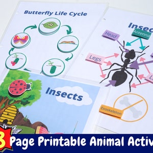 Pre-k Animal Busy Book Printable Activity | Animal Classifications ...