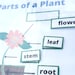 Parts of a Plant Pre-k Printable Activity Page for Busy Book/learning ...