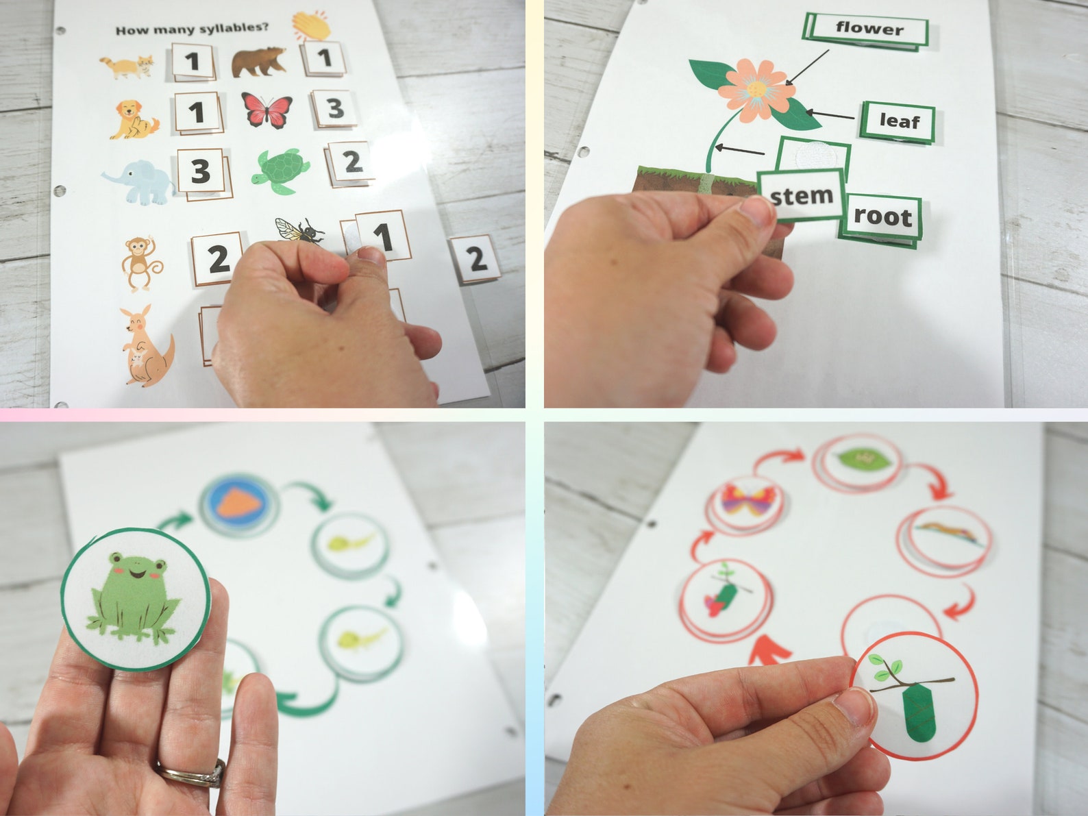 Personalized Preschool Learning Binder | Printable Busy Book ...