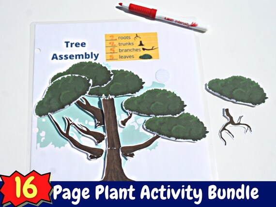 Pre-k Plant Busy Book Printable Activity Bundle Plant Unit - Etsy