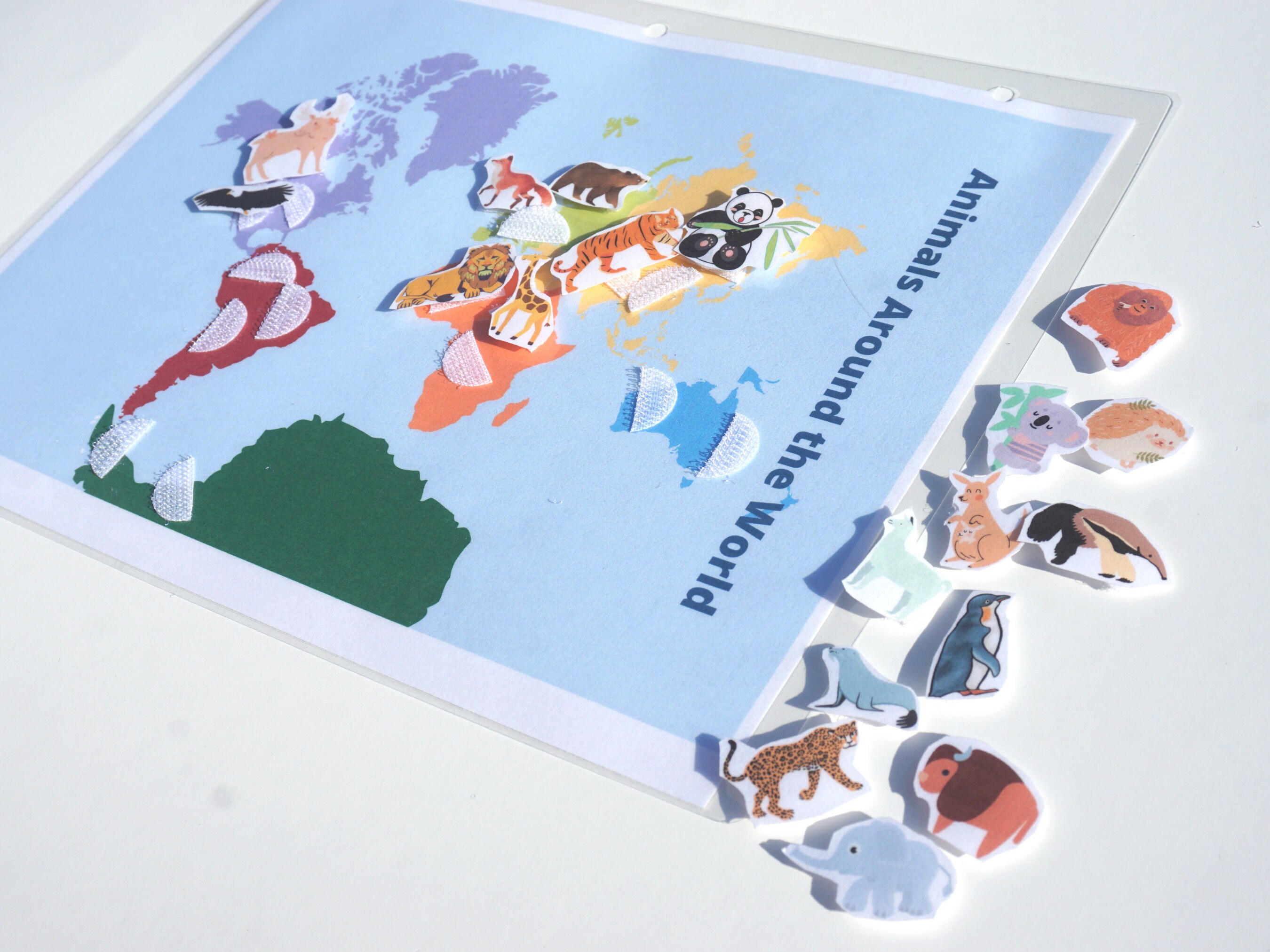 Animals Around the World Geography Activity Printable | Continents Pre ...