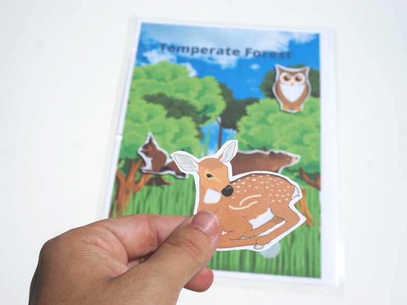 Animal Biome Busy Book Printable Activity | Pre-k Science | Preschool ...