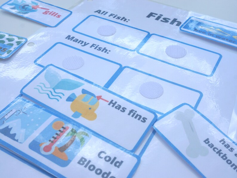 Pre-k Fish Printable Activities for Busy Book | Fish Unit | What is a ...