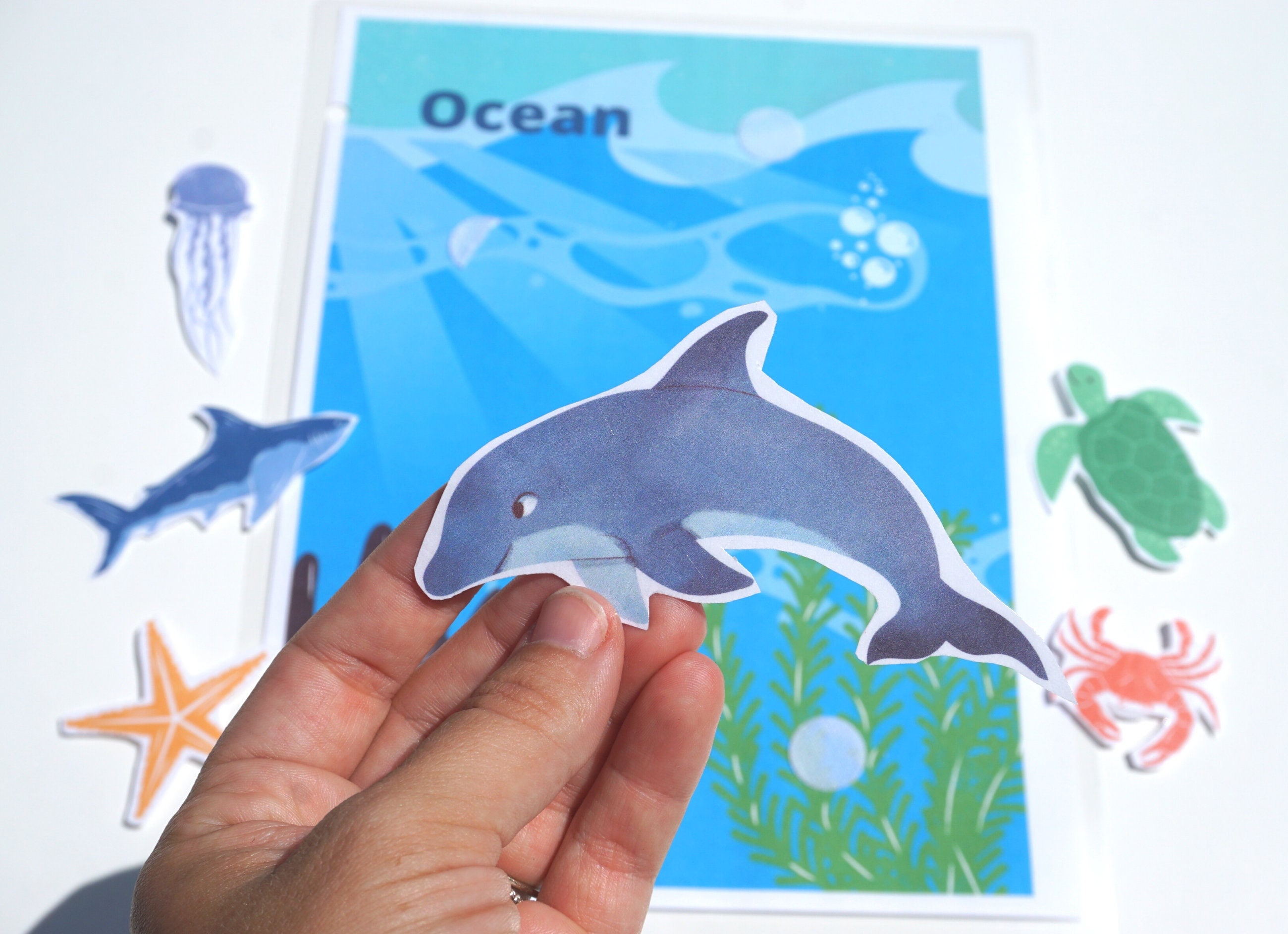 Animal Biome Busy Book Printable Activity | Pre-k Science | Preschool ...