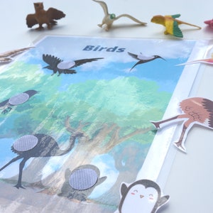 Bird Activity Printable Bundle for Preschool Busy Book | Pre-k Science ...
