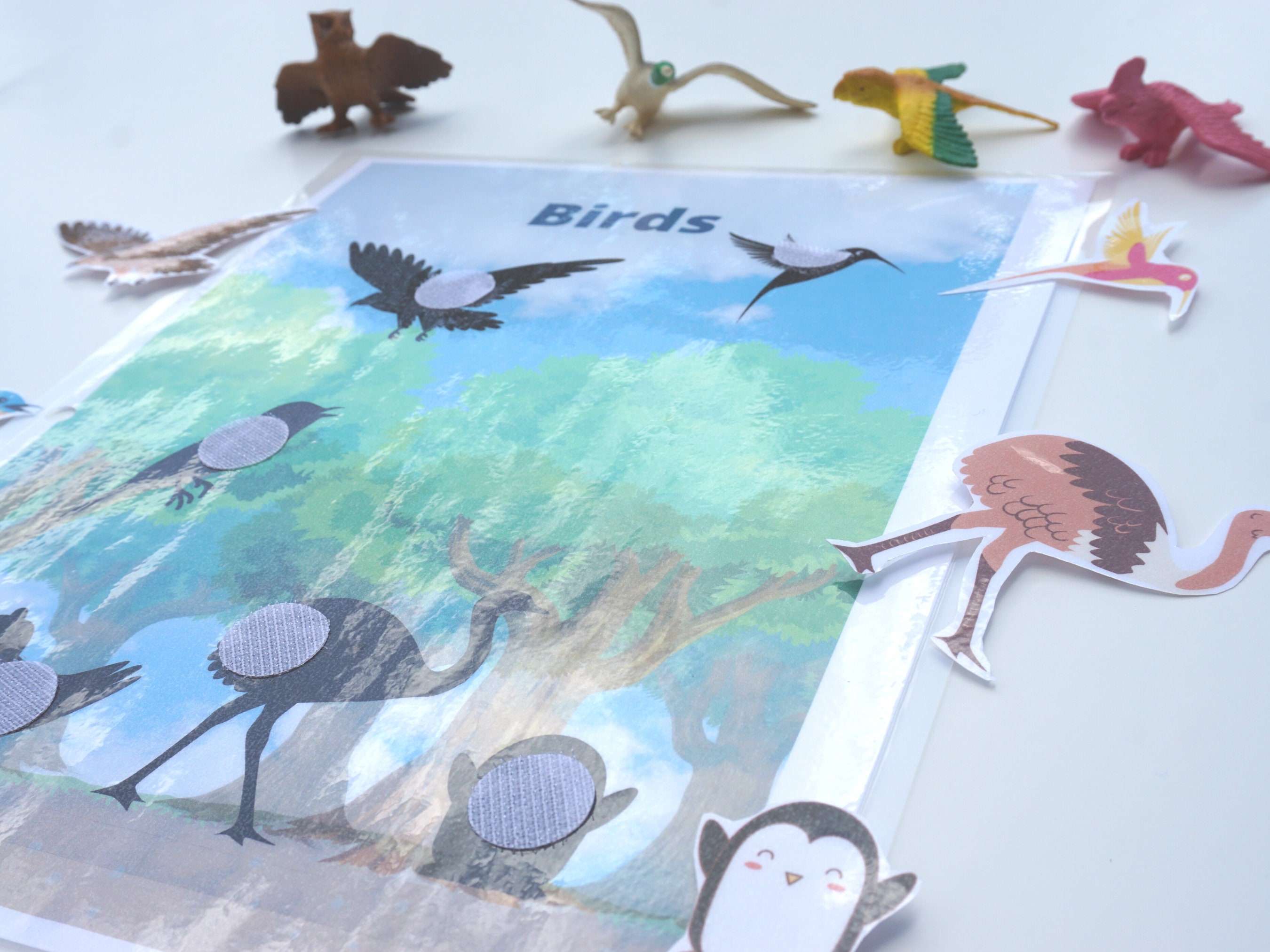 Bird Activity Printable Bundle for Preschool Busy Book | Pre-k Science ...