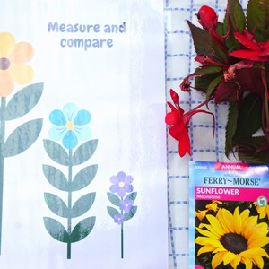 Plant Unit Study Printable BUNDLE for Preschool, Pre-k, Kindergarten ...