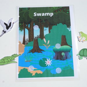Swamp Animal Habitat Printable Activity for Learning Book | Pre-k Busy ...