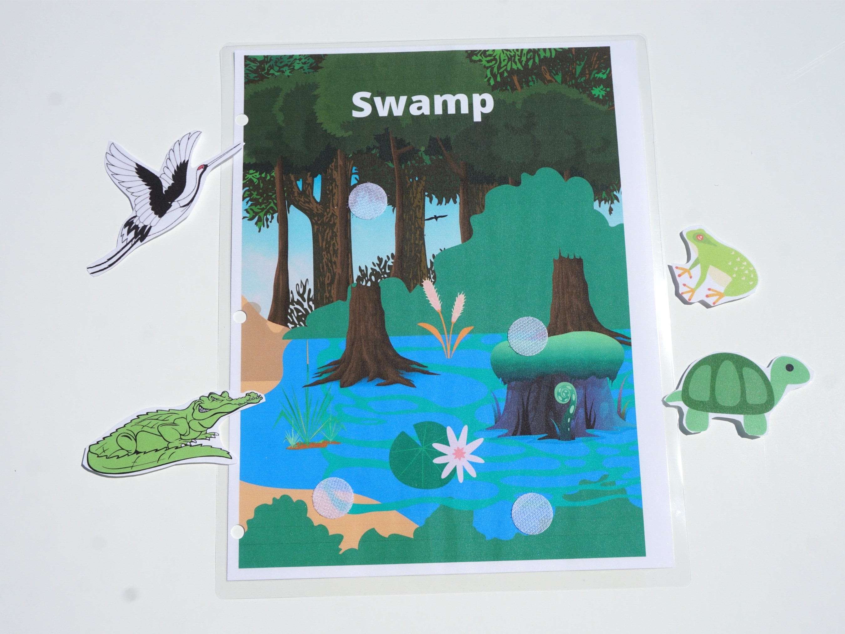 Swamp Animal Habitat Printable Activity for Learning Book | Pre-k Busy ...