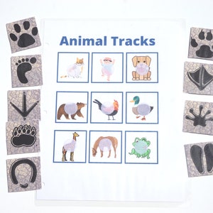 Animal Tracks Printable Activity for Busy Book | Pre-k Science Learning ...