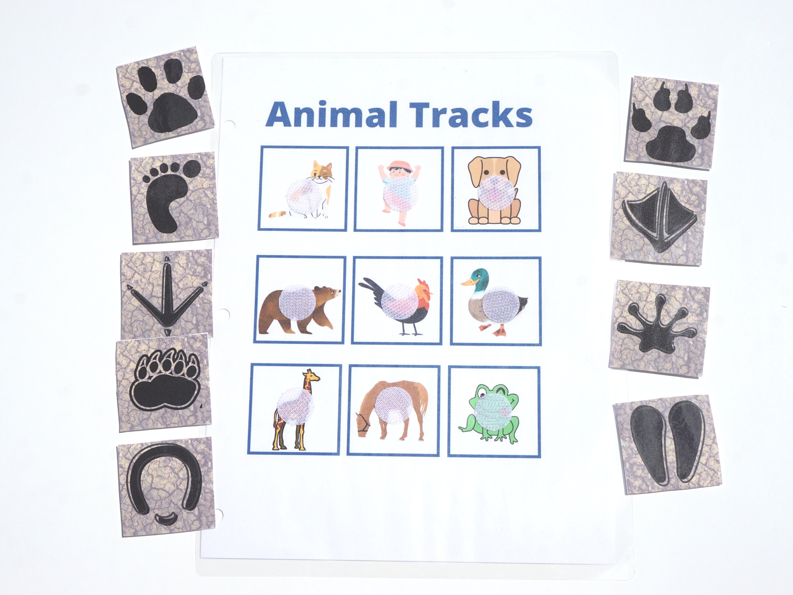Animal Tracks Printable Activity for Busy Book | Pre-k Science Learning ...