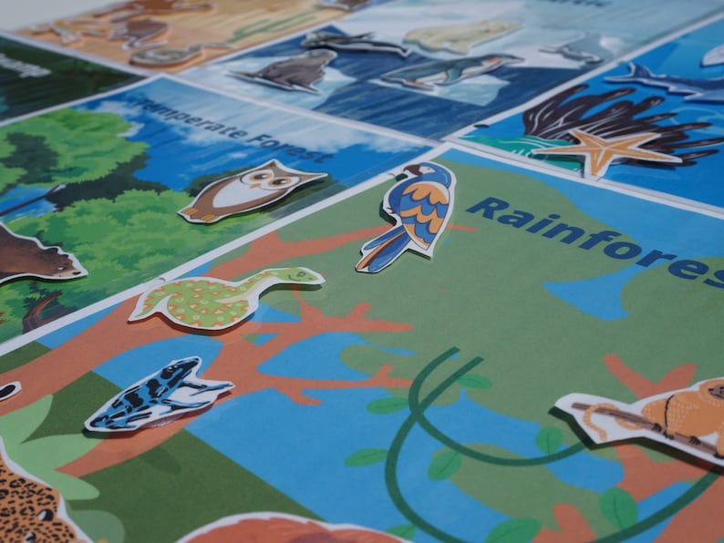 Animal Biome Busy Book Printable Activity | Pre-k Science | Preschool ...