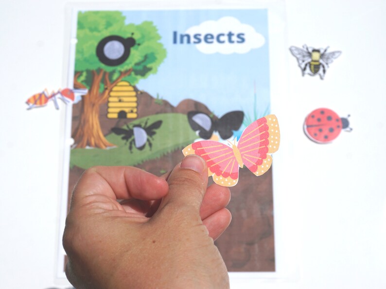 Pre-k Insect Activity Bundle for Busy Book | Animal Classification ...