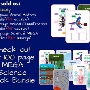 Pre-k Insect Activity Bundle for Busy Book | Animal Classification ...
