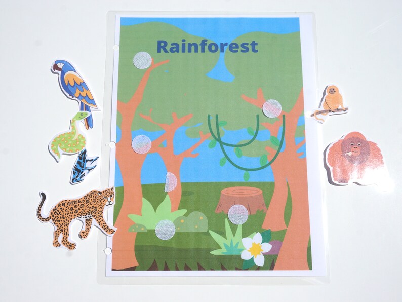 Rainforest Animals Habitat and Biome Printable Download Activity for ...