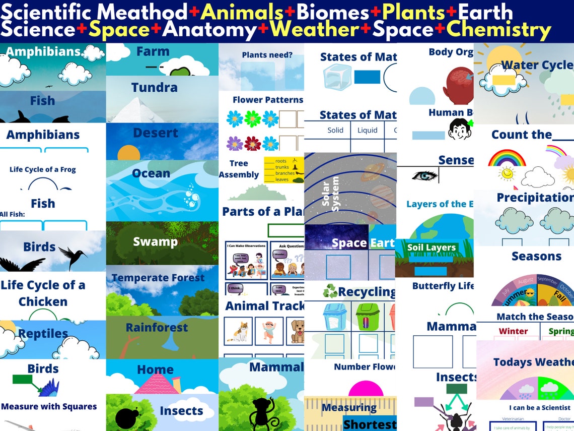 Pre-k SCIENCE Busy Book Curriculum Science Unit Study Printable BUNDLE ...