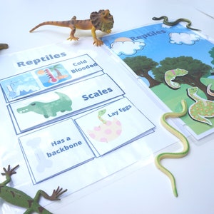 Pre-k Reptile Classification Printable Activity for Busy Book ...