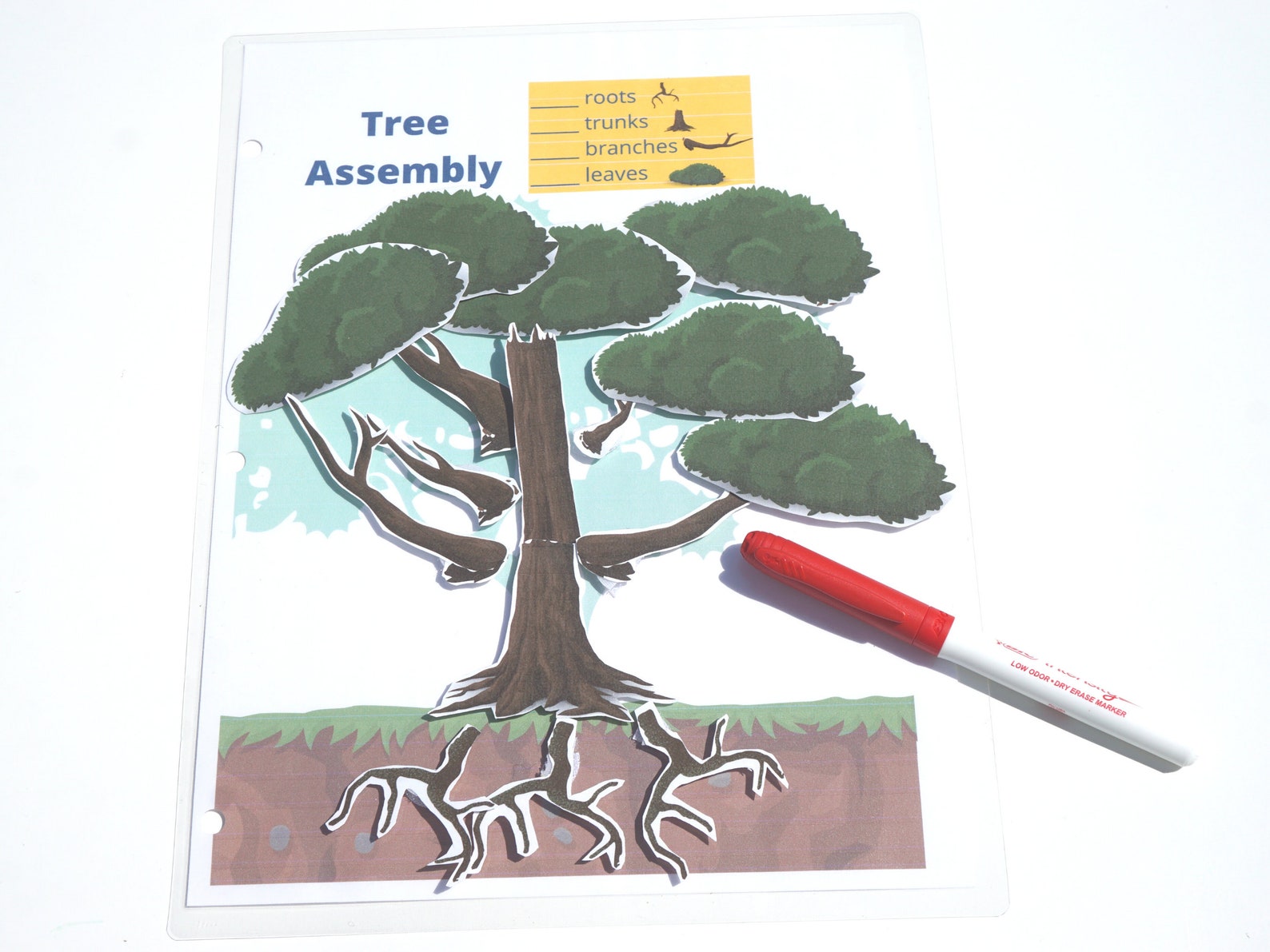 Build A Tree Printable Activity for Pre-k Science Busy Book | Garden ...