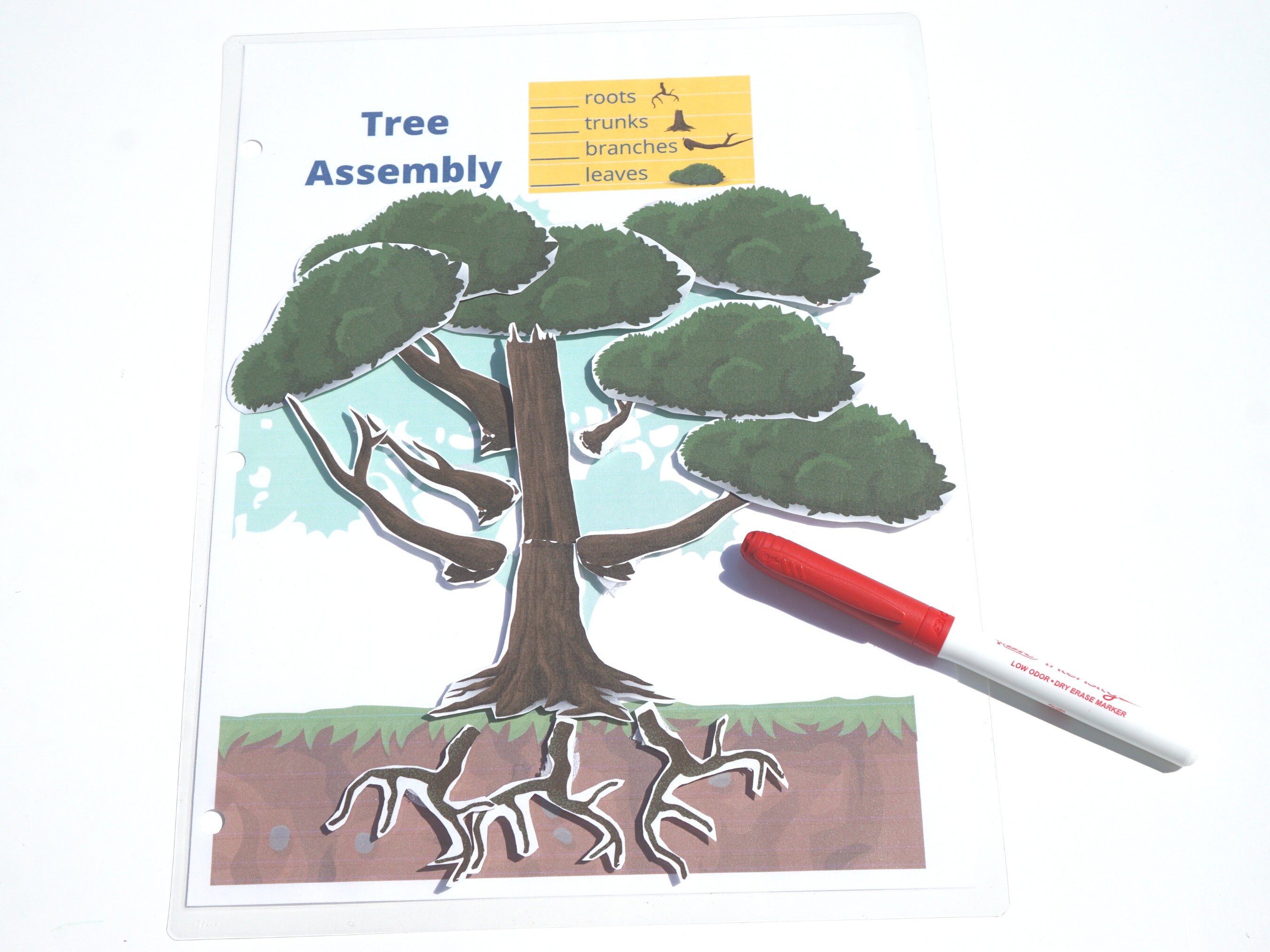 Build A Tree Printable Activity for Pre-k Science Busy Book | Garden ...