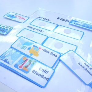 Pre-k Fish Printable Activities for Busy Book | Fish Unit | What is a ...