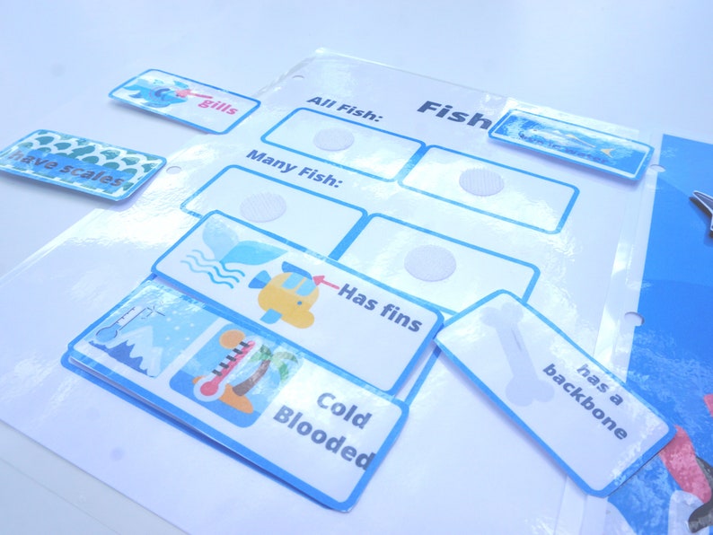 Pre-k Fish Printable Activities for Busy Book | Fish Unit | What is a ...