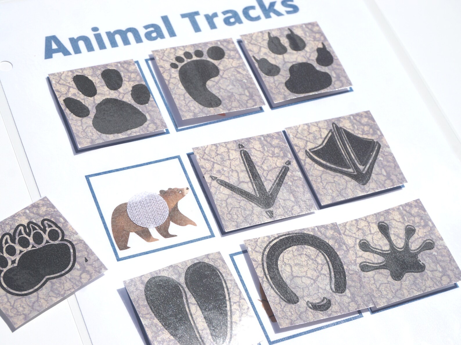 Animal Tracks Printable Activity for Busy Book | Pre-k Science Learning ...