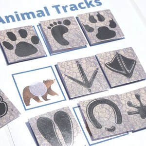 Animal Tracks Printable Activity for Busy Book | Pre-k Science Learning ...