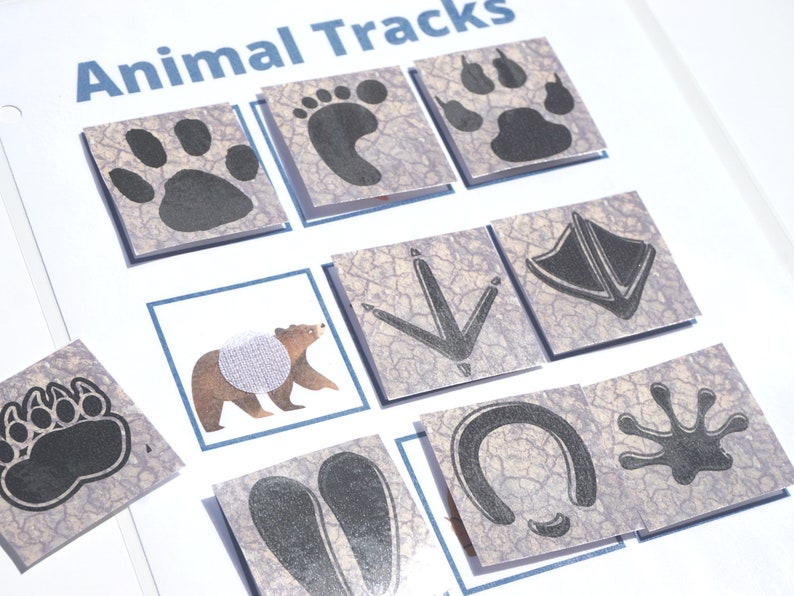 Animal Tracks Printable Activity for Busy Book | Pre-k Science Learning ...