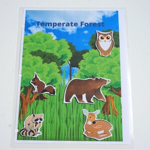 Temperate Forest Printable Matching Activity for Preschool Learning ...