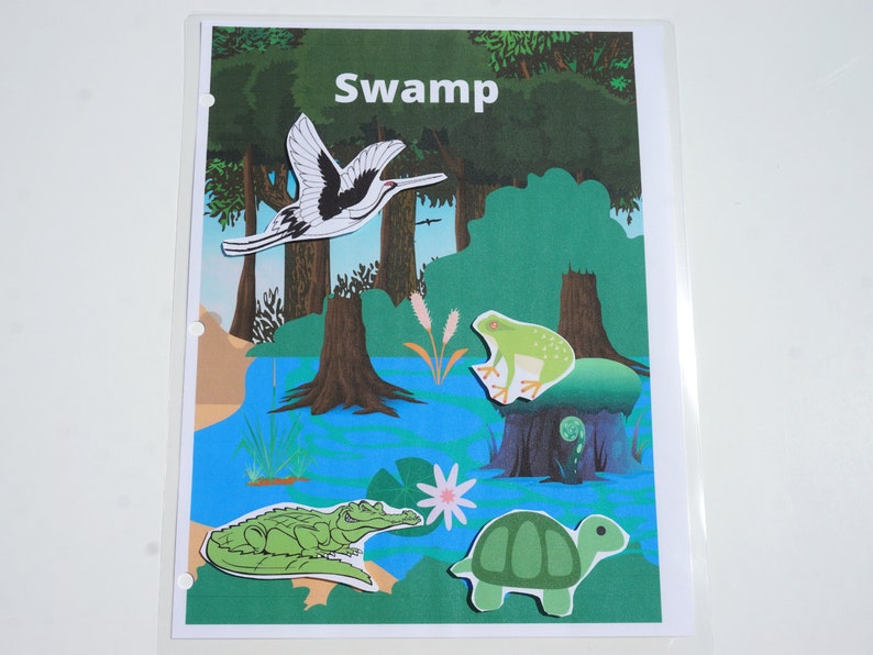 Swamp Animal Habitat Printable Activity for Learning Book | Pre-k Busy ...