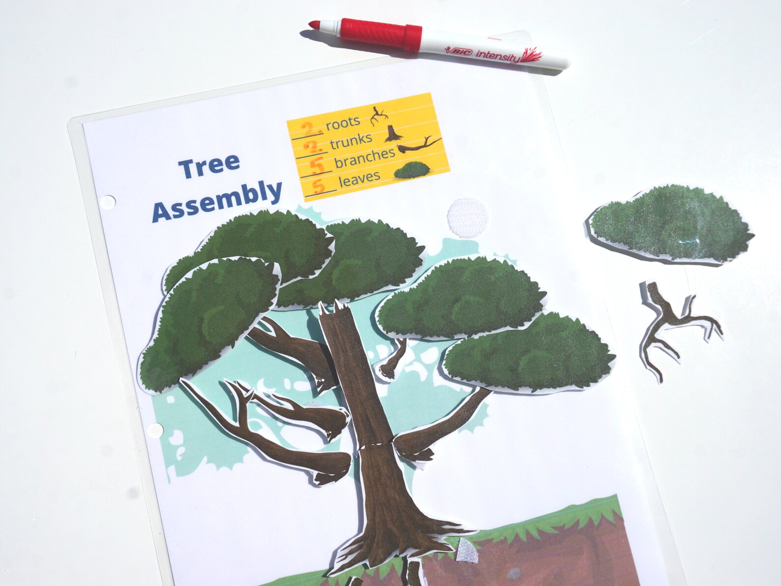 Build A Tree Printable Activity for Pre-k Science Busy Book | Garden ...