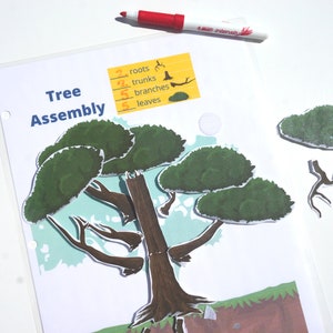 Build A Tree Printable Activity for Pre-k Science Busy Book | Garden ...