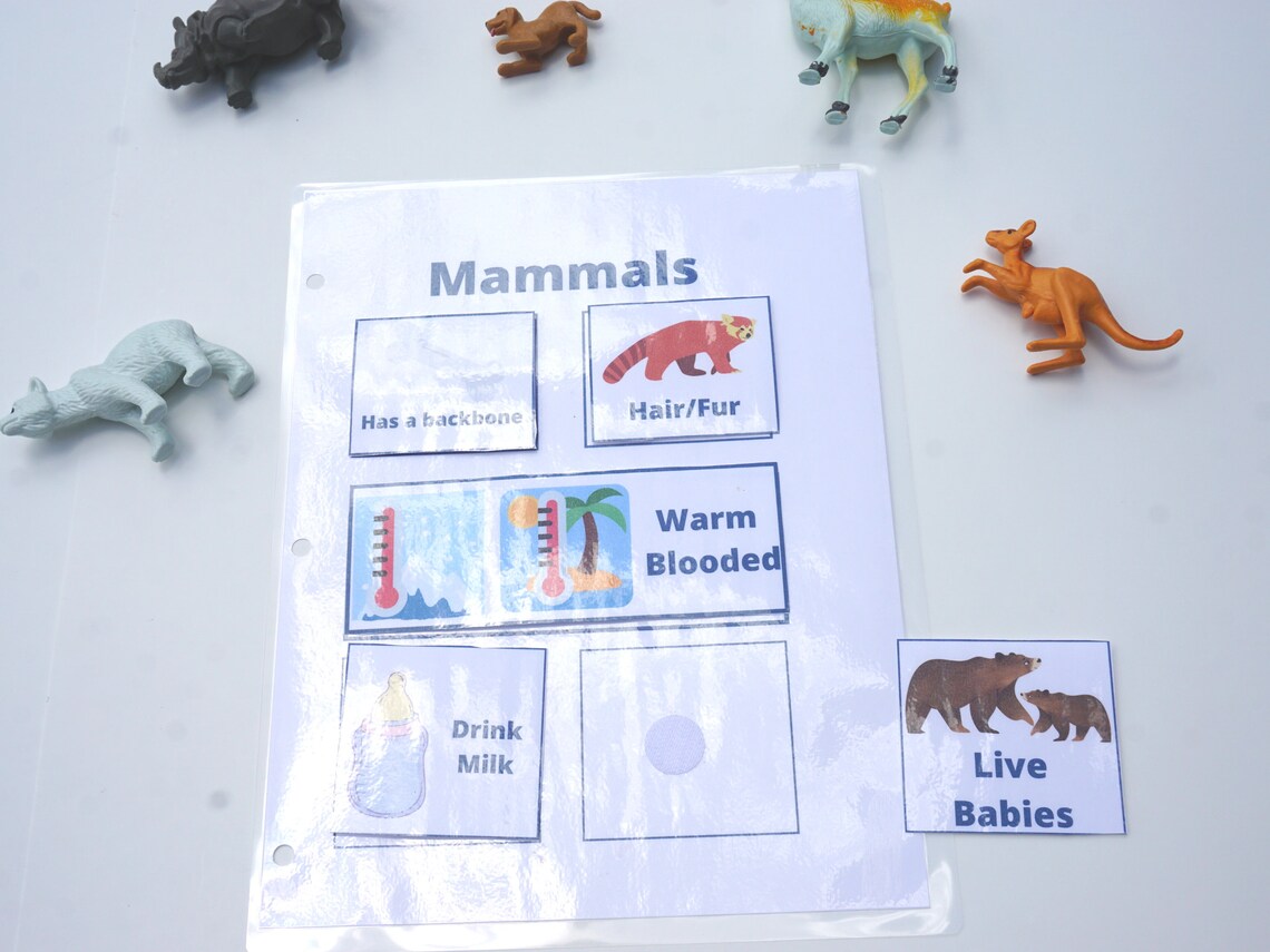Mammal Classification Activity for Printable Busy Book | Animal ...