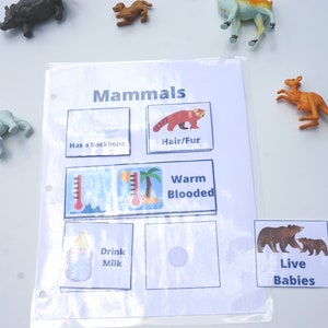 Mammal Classification Activity for Printable Busy Book | Animal ...