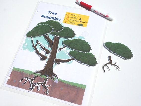 Build A Tree Printable Activity for Pre-k Science Busy Book - Etsy