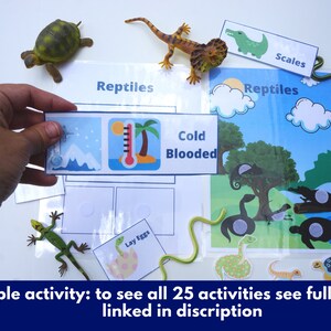 Pre-k Animal Printable Busy Book Activity Bundle | Science, Biomes ...