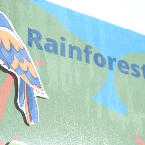 Rainforest Animals Habitat and Biome Printable Download Activity for ...