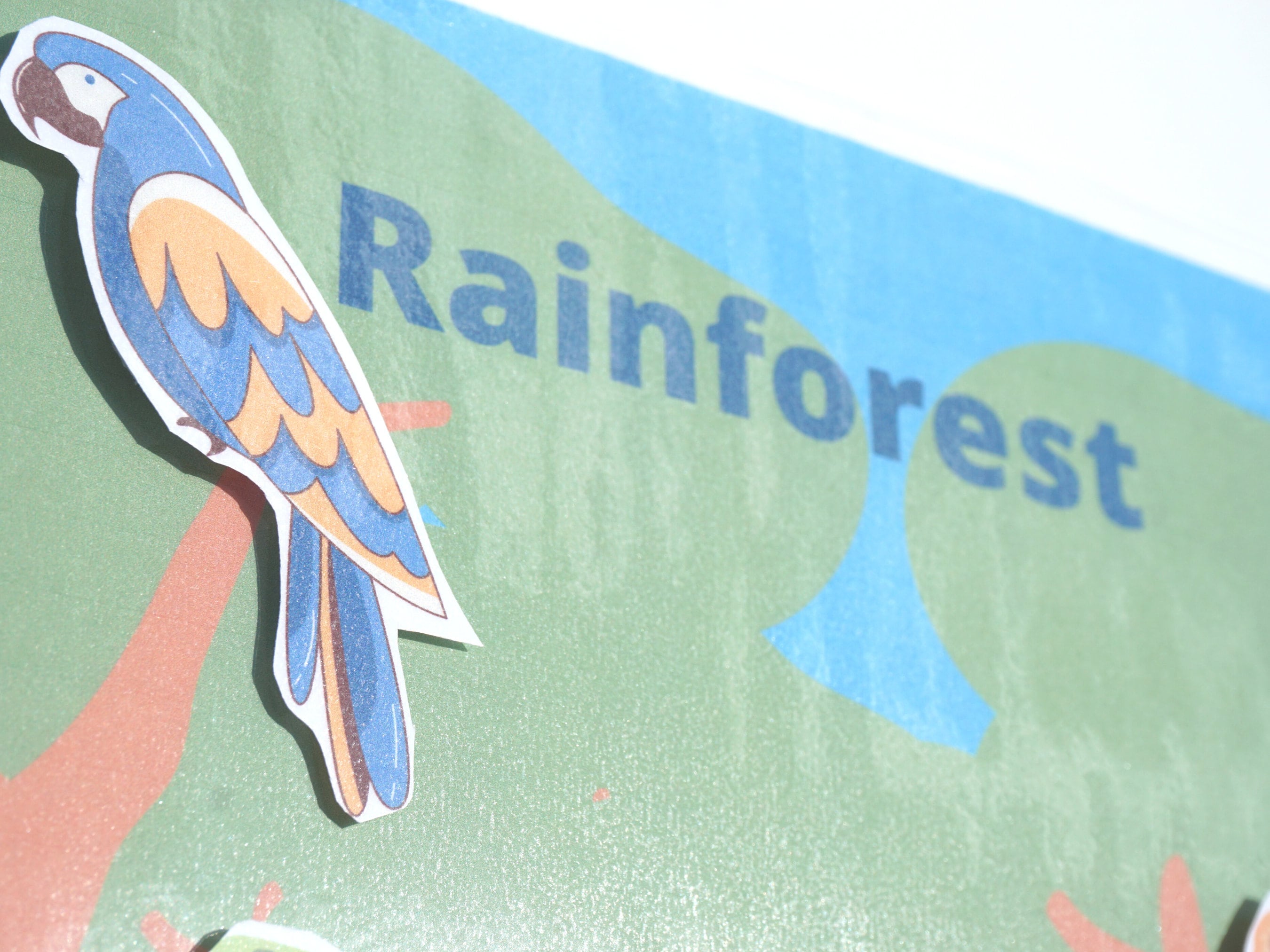 Rainforest Animals Habitat and Biome Printable Download Activity for ...