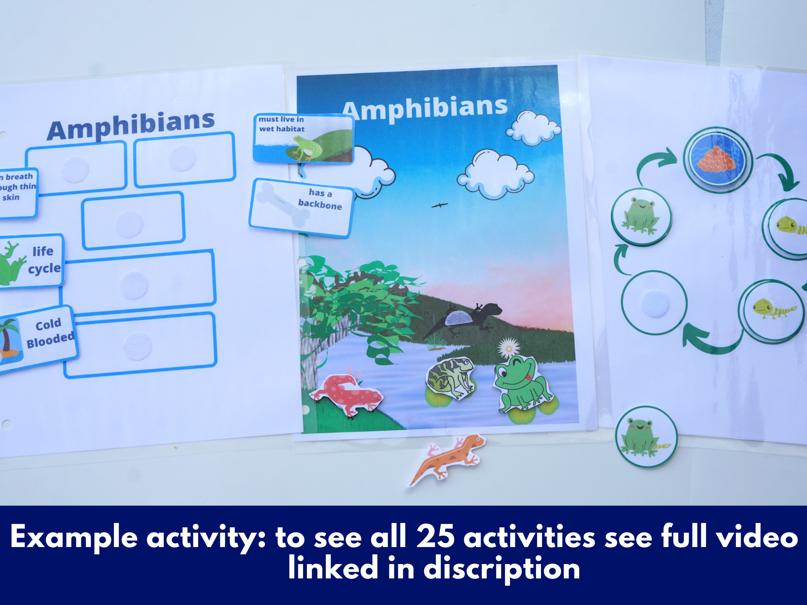 Pre-k Animal Busy Book Printable Activity | Animal Classifications ...