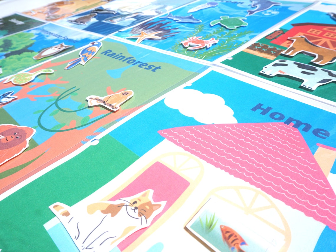 Animal Biome Busy Book Printable Activity | Pre-k Science | Preschool ...