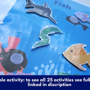 Pre-k Animal Printable Busy Book Activity Bundle | Science, Biomes ...