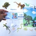 Pre-k Reptile Classification Printable Activity for Busy Book Preschool ...