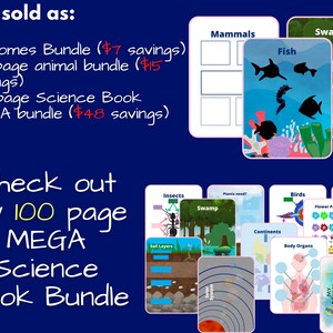 Ocean Biome/habitat Printable Preschool Activity for Busy Book | PRE-K ...