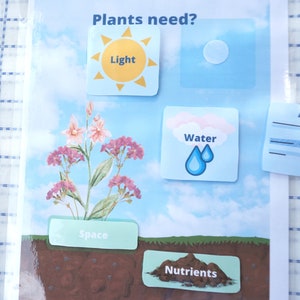 What Plants Need Printable Activity for Pre-k Science Busy Book ...