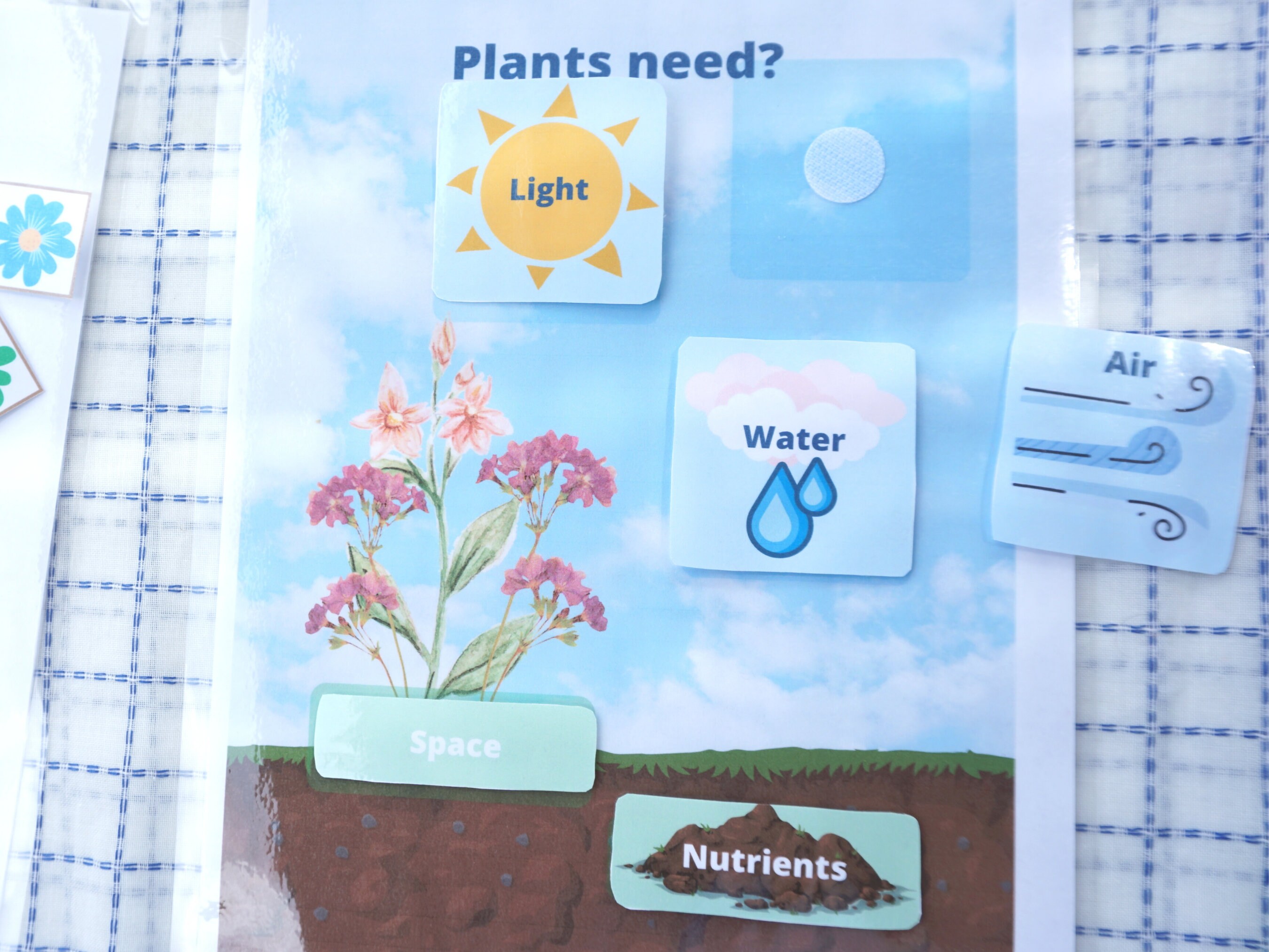 What Plants Need Printable Activity for Pre-k Science Busy Book ...