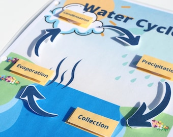 Water Cycle Activity - Etsy